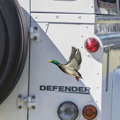 Realistic Mallard Duck Sticker - Stickers Factory